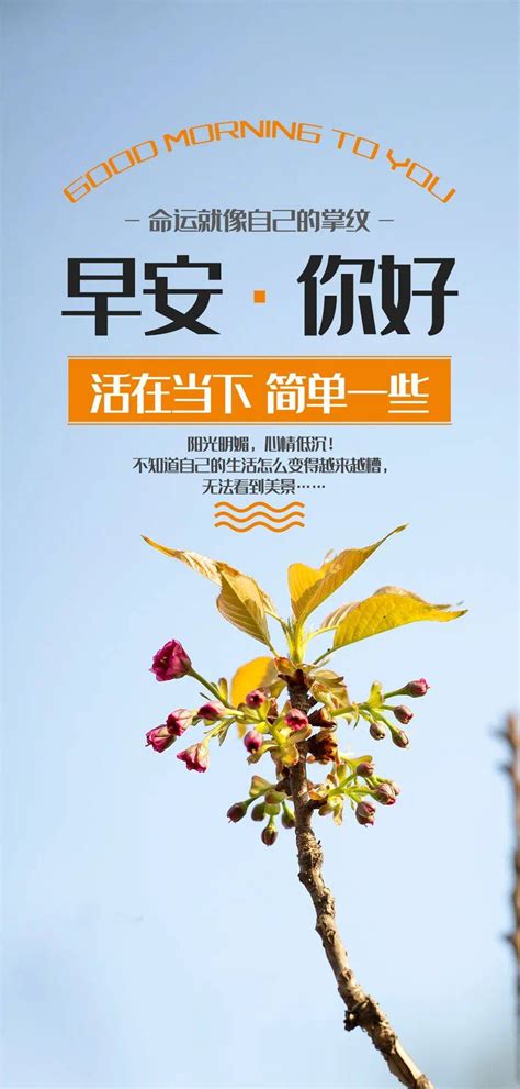 5月3日早安正能量精辟语句：心在哪，时间在哪，行动在哪，收获就在哪！ 人生 太阳 心语