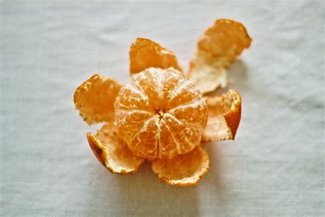 Free Images Fruit Sweet Leaf Flower Petal Pattern Food Produce