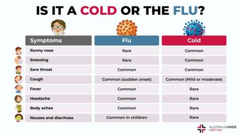 Differences Between Cold And Flu