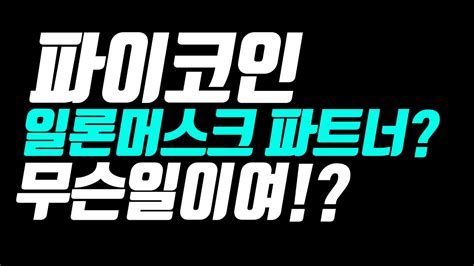 일론머스크 파이코인 무슨일이여 파이코인은 역시 Youtube
