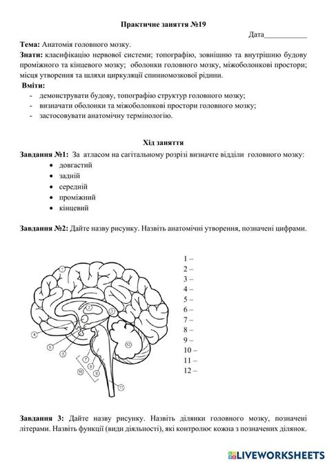 Практичне заняття №19 Worksheet Live Worksheets