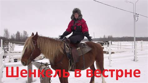 Шенкель в вестерн седле. - YouTube
