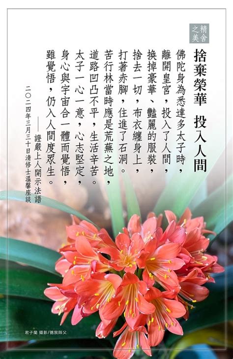 證嚴上人每日一叮嚀2024 04 26 1