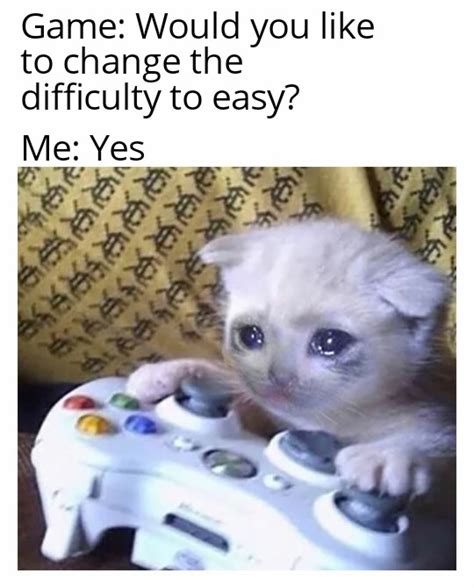 Im Trying My Best Ok Rmemes