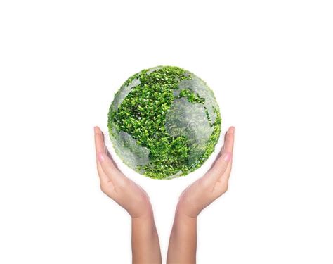 Manos Sosteniendo El Planeta Tierra Hecho De árbol Verde Aislado En