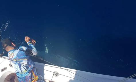 Pesca De Atum Pesca Desportiva No Algarve Algarve Fishing Katjoa