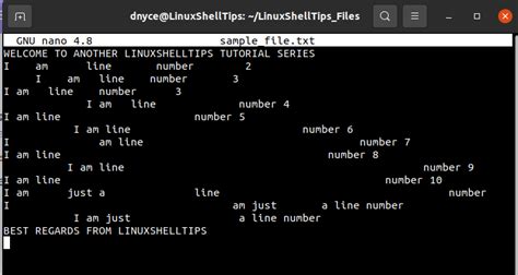 How To Replace Whitespaces With Tabs In A File