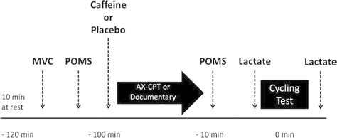 Schematic Representation Of The Experimental Sessions MVC Maximal Download Scientific Diagram
