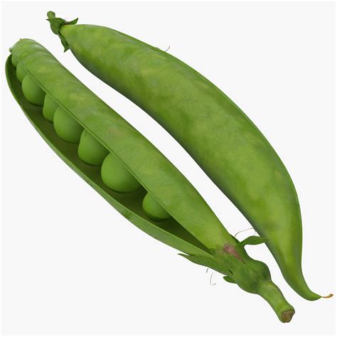 Pea 3d Models Download Free3d