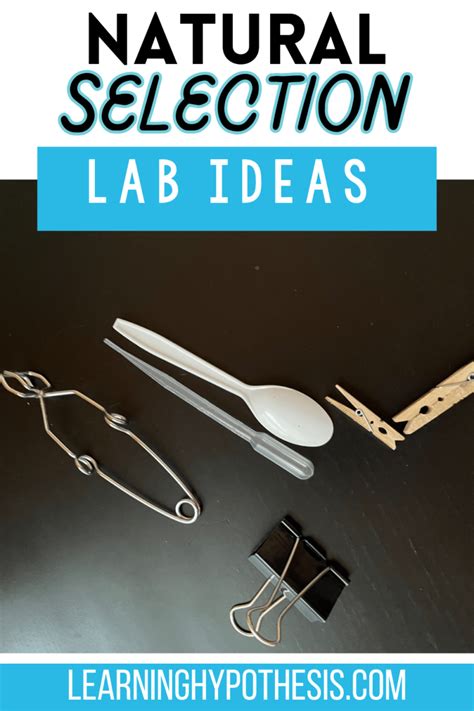 Natural Selection Lab The Learning Hypothesis