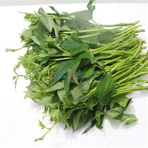 Rau Lang Tươi An Toàn Vietgap