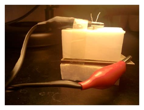 Setup For Electrochemical Etching Of Porous Silicon A Teflon Cell