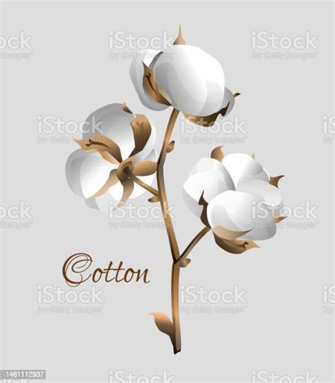 오톤 장식 지점입니다 배경 화면 배경 섬유 엽서에 대 한 디자인 요소 목화꽃에 대한 스톡 벡터 아트 및 기타 이미지 목화꽃