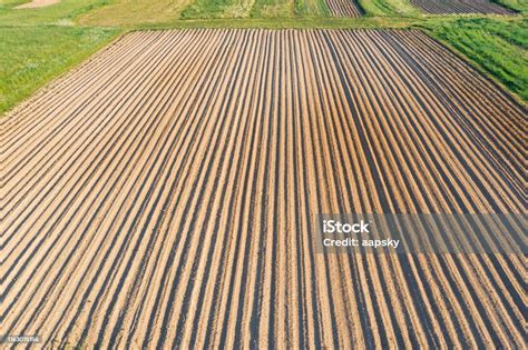잔디와 초원 나무의 시골 사이에 농업 식물을 심기위한 토지 고랑을 쟁기 위에서 공중 보기 갈색에 대한 스톡 사진 및 기타 이미지 Istock