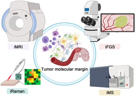 Showing The Four Intraoperative Technologies For Precise Depictions Of Download Scientific