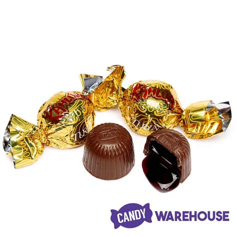 Turin Kahlua Liquor Filled Chocolates 20 Piece Tube Bestcandyshop