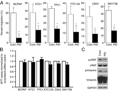 Group I Paks Regulate Thyroid Cancer Cell Migration A All Six