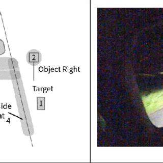 Left Coding Scheme With Eight Regions Of Interest ROIs Used To Code
