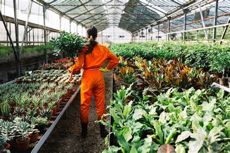 Vista Posterior De Un Jardinero De Sexo Femenino Que Sostiene La Planta