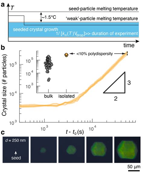 Seeded Crystal Growth Is Diffusion Limited And Yields Monodisperse Download Scientific Diagram