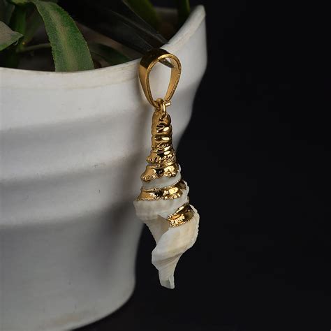 Natural Banded Tulip Sea Shell Designed Pendant State Shell Etsy
