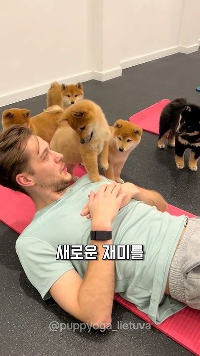 강아지들과 함께하는 요가수업 Youtube