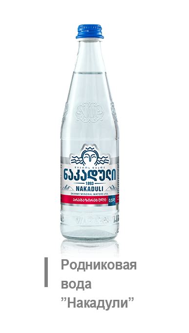 Sairme Mineral Waters LTD