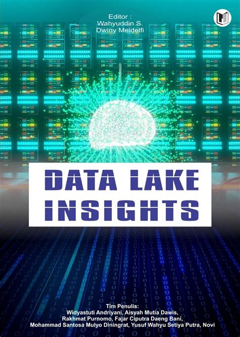Pdf Data Lake Insights