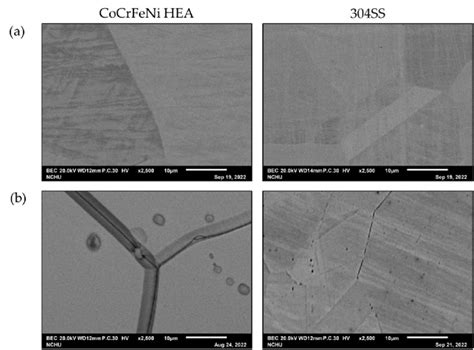 Sem Observations Of Cocrfeni Hea And 304ss A Before And B After
