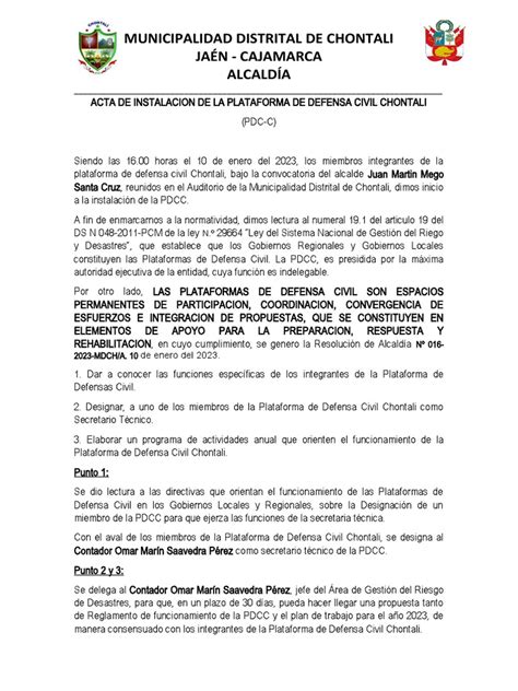 Acta De Conformacion De Defensa Civill Pdf Defensa Civil Esfera
