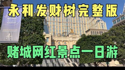 赌城网红景点一日游永利发财树完整版 YouTube