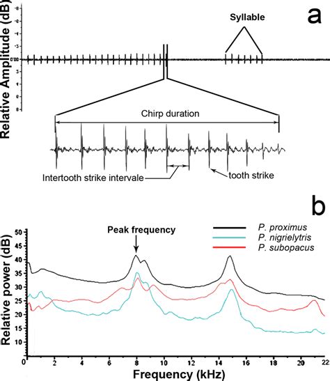 Descriptions Of Temporal And Frequency Amplitude Parameters Measured In