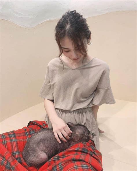 きりんさんのインスタグラム写真 きりんinstagram「ㅤ ㅤ ㅤ Mipig Cafe についてみんなからたくさん反応いただいたの