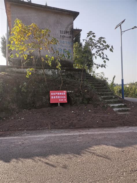 碑湾到代市路上的垃圾站为什么被拆了 群众呼声四川问政 四川省网上群众工作平台 前锋区委书记
