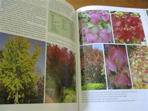 Home And Garden How To Design Your Garden Una Van Der Spuy For Sale In