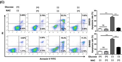 Thioredoxin 1 Supports Colorectal Cancer Cell Survival And Promotes
