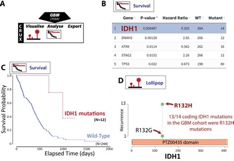 Finding Prognostic Biomarkers Associated With Longer Patient Survival Download Scientific