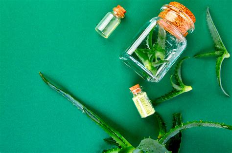 Cómo alisar el cabello de forma natural y permanente Recetas VIDA CON SALUD