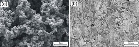 Materials Used A Morphology Of Vanadium Carbide Powder Particles And Download Scientific