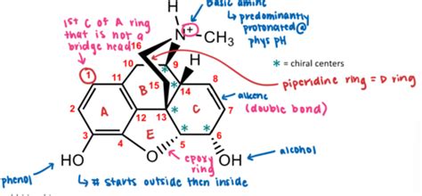 Rx 318 Chemistry Of Opioids And Opioid Antagonists Flashcards Quizlet