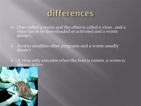 PPT Worms And Viruses PowerPoint Presentation Free Download ID