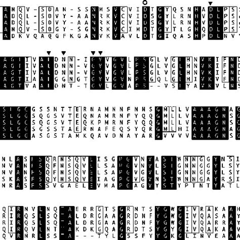 Multiple Alignment Of Deduced Amino Acid Sequence Of Catalytic Domain