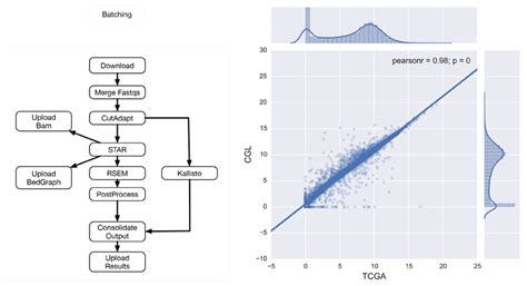 Rapid And Efficient Analysis Of 20000 Rna Seq Samples With Toil Rna