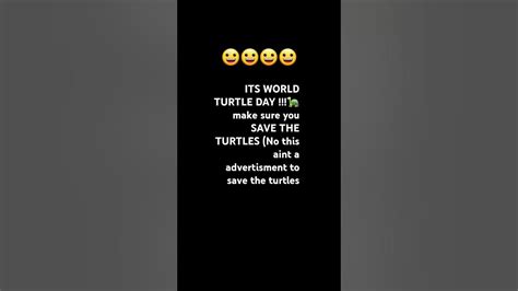 Turtles Youtube