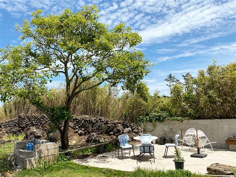 그계절 제주특별자치도 제주시 가볼만한곳 관광지랭킹