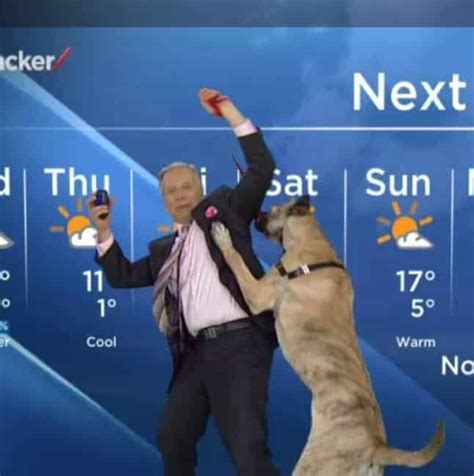 Record Breaking News Bloopers The Priciest And Most Memorable Mishaps