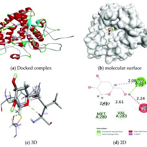 Molecular Docking Of Compound 1c With Binding Site Of 2y9x Protein