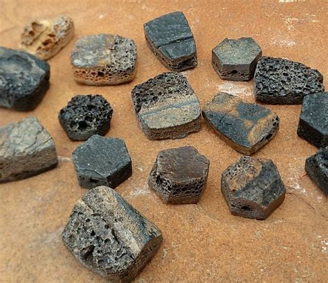 Rare Genuine Fossil Turtle Shell Beads By Gary Wilson Actual Prehistoric Turtle Shell For