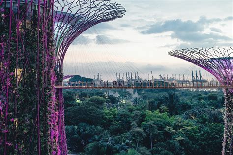 Blockchain In Singapore And How It Is Being Integrated In To Everyday Life Bitcoin News Asia