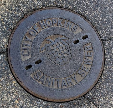 Worlds Largest Raspberry Updated July 2025 21 8th Ave N Hopkins